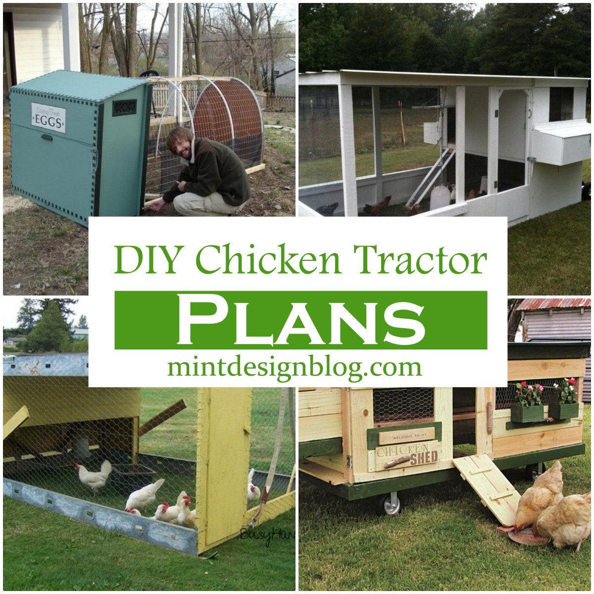 21 Free DIY Chicken Tractor Plans For Chicken Lovers - Mint Design Blog