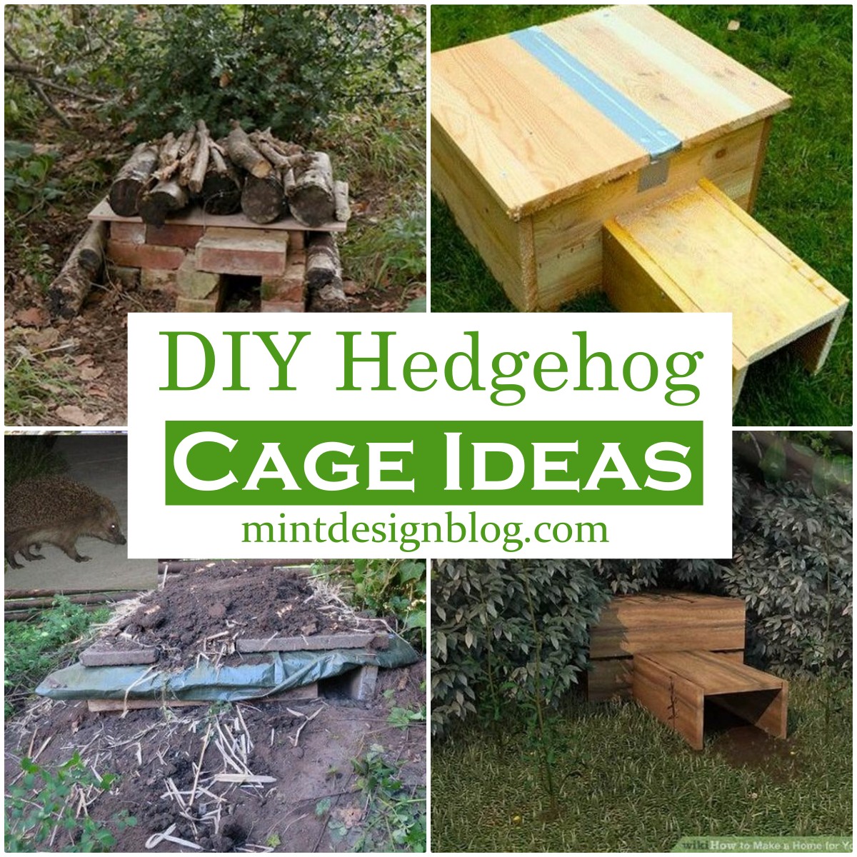 21 DIY Hedgehog Cage Ideas - Mint Design Blog