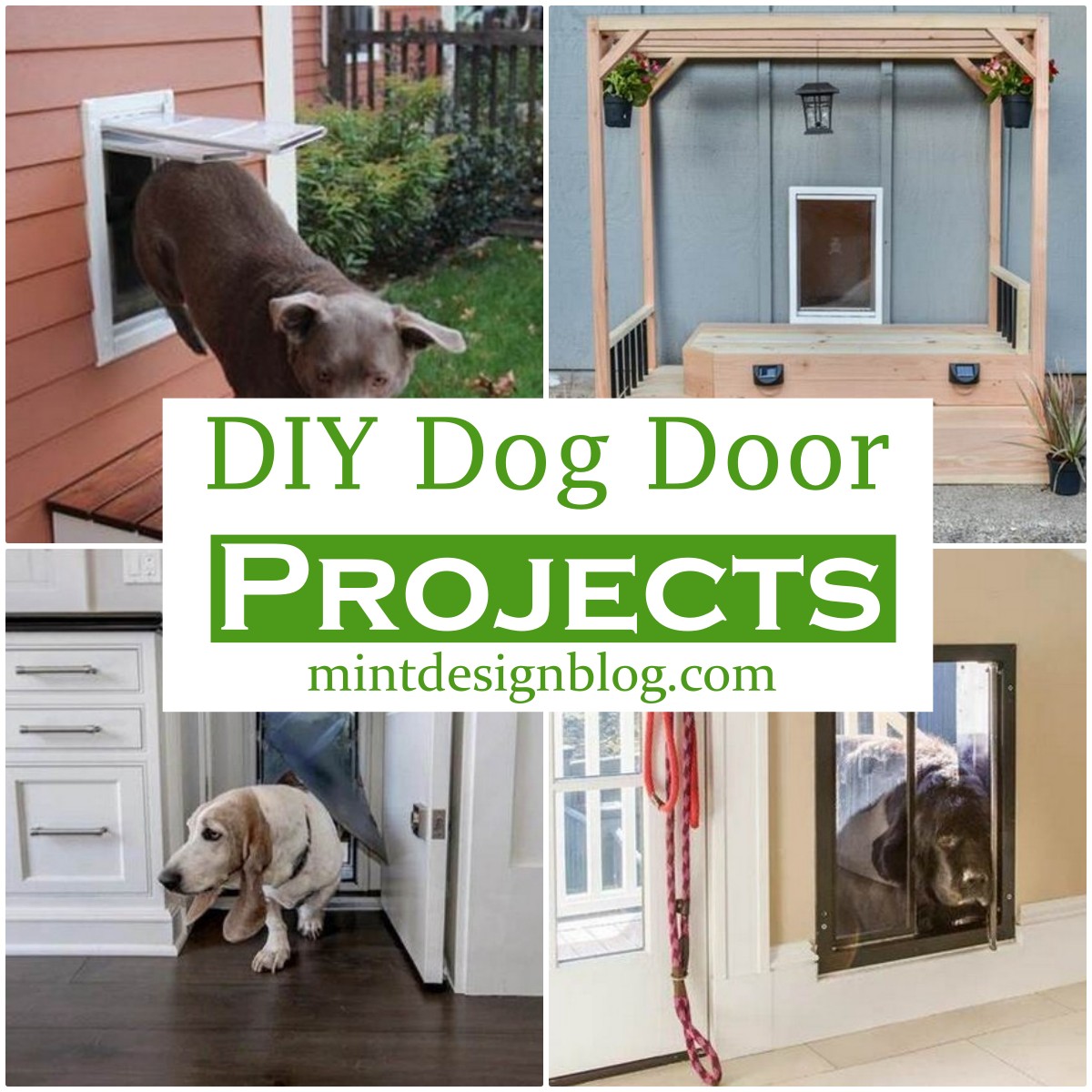 20 DIY Dog Door Projects You Can Build Today - Mint Design Blog