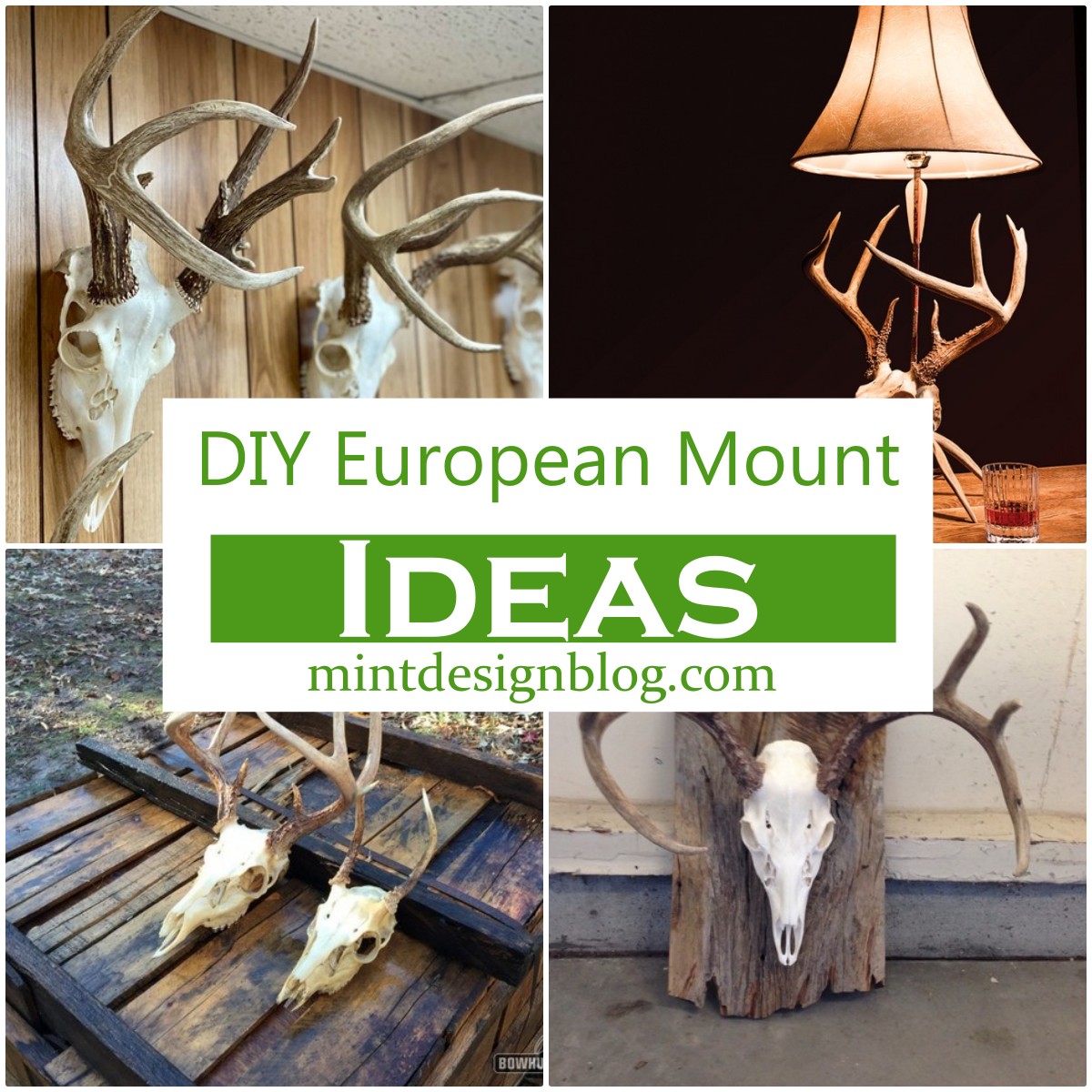 14 DIY European Mount Ideas For Classical Hunters - Mint Design Blog
